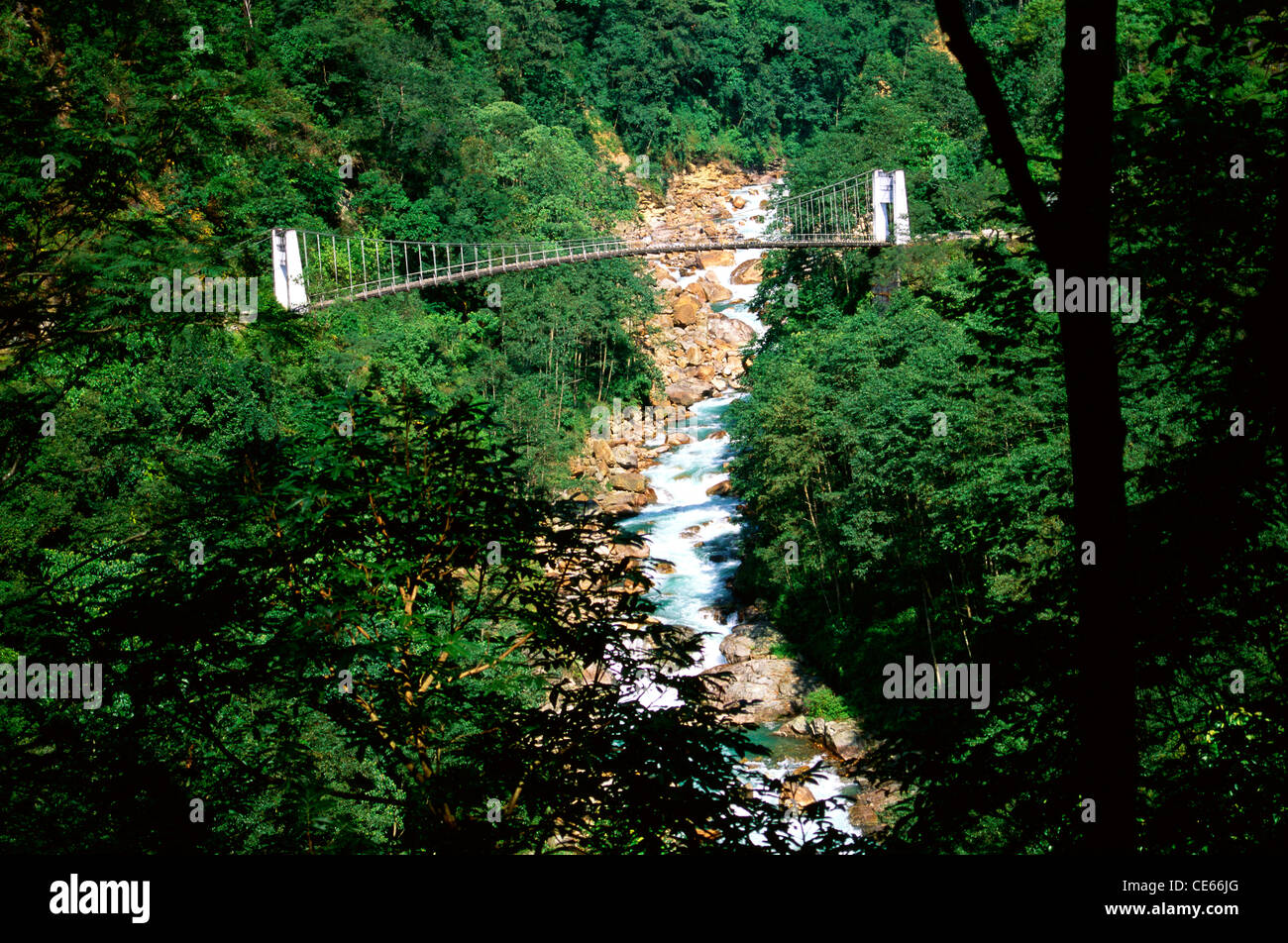 Suspension bridge over Rathong Chu River ; Yoksum ; Yuksom ; Geyzing ...