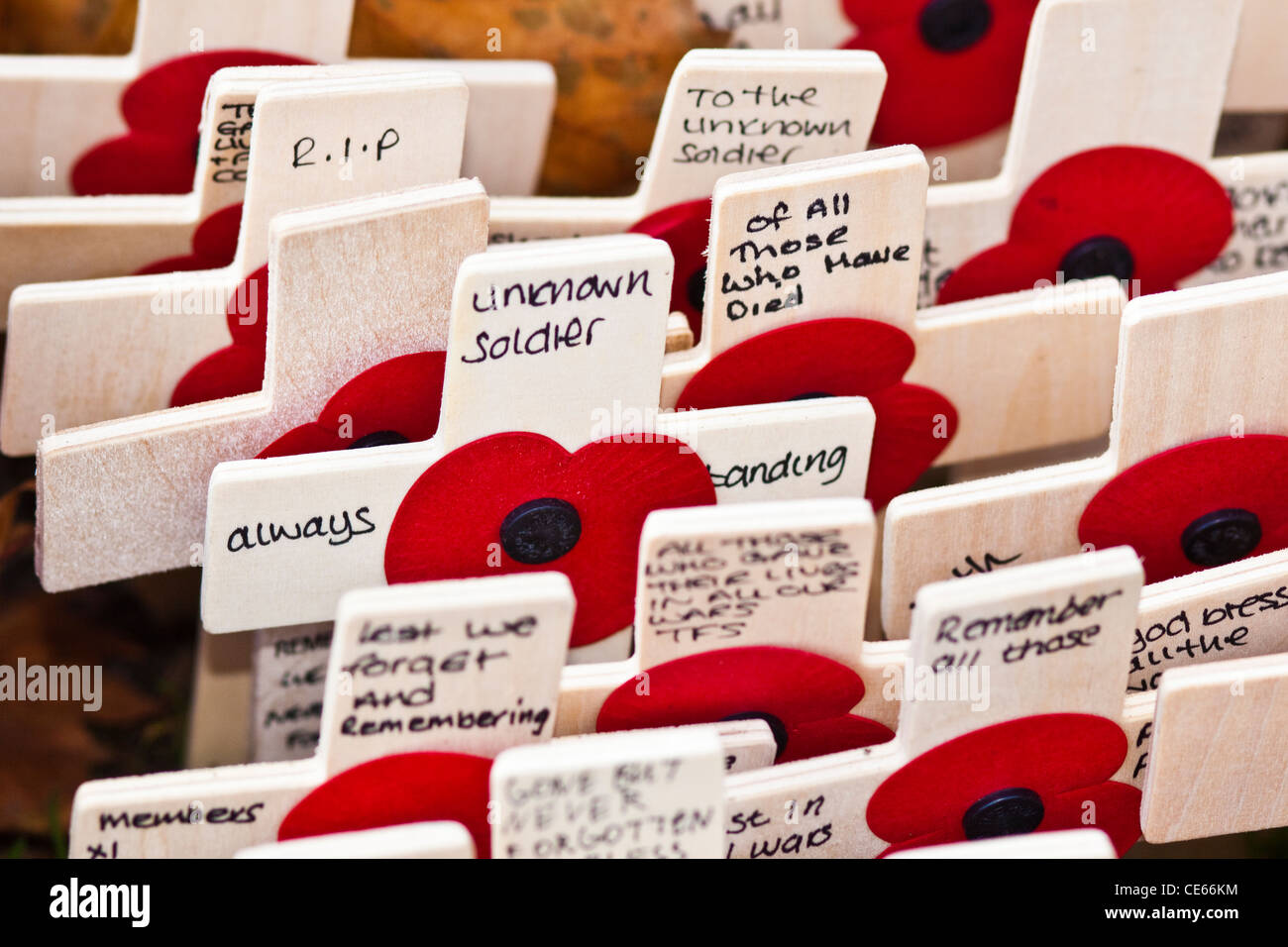 Remembrance Sunday London Stock Photo - Alamy