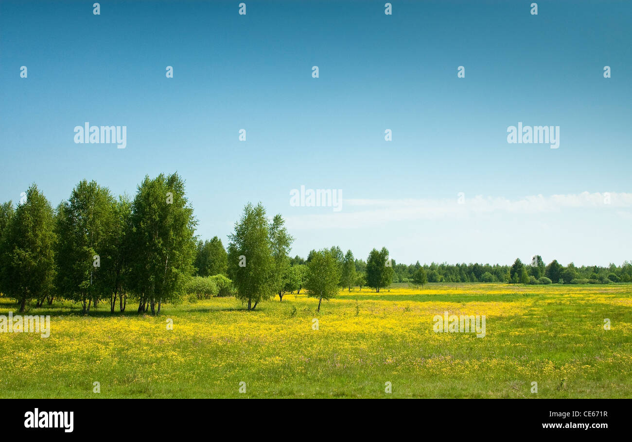 Intense symbolism hi-res stock photography and images - Alamy