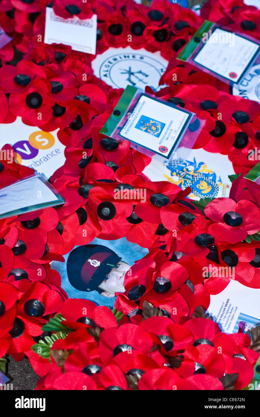 Remembrance Sunday London Stock Photo - Alamy