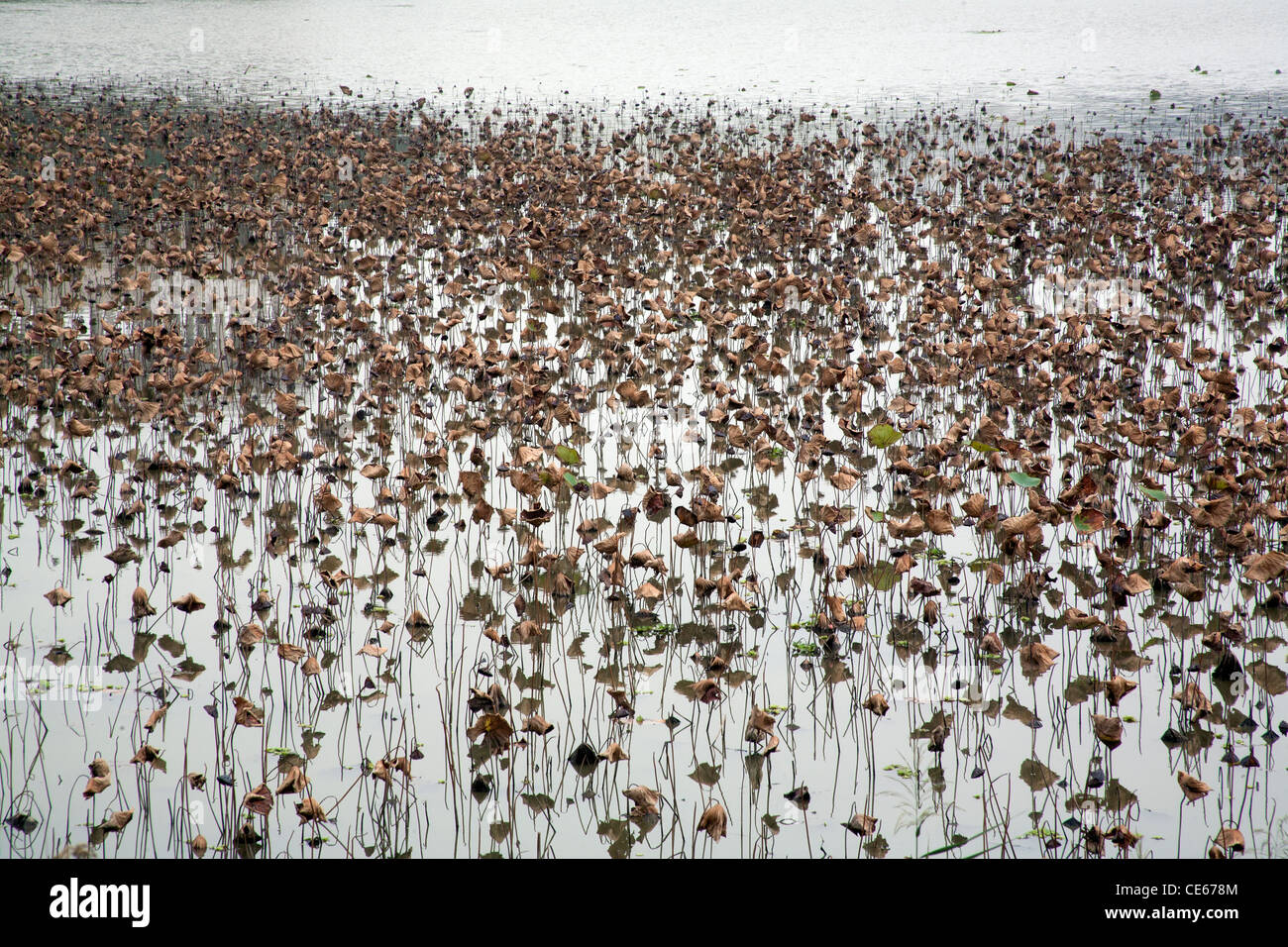 Sar lake hi-res stock photography and images - Alamy