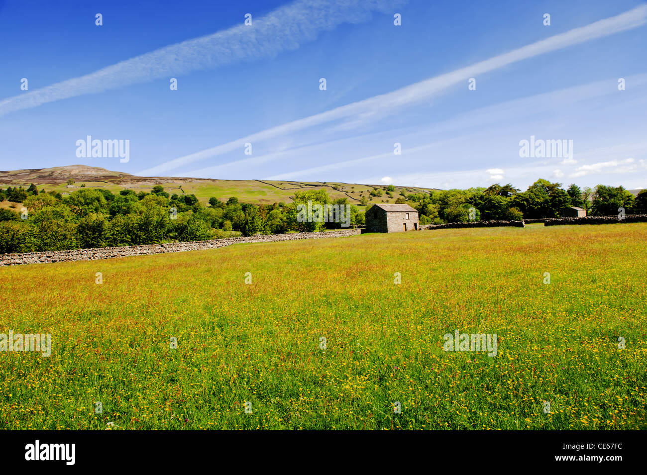 Flowering meadows in Swaledale Stock Photo - Alamy