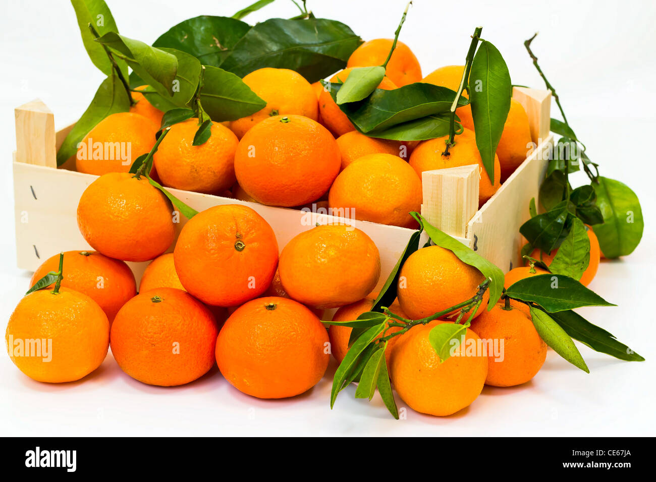 box full of fresh mandarin with green leaves Stock Photo - Alamy