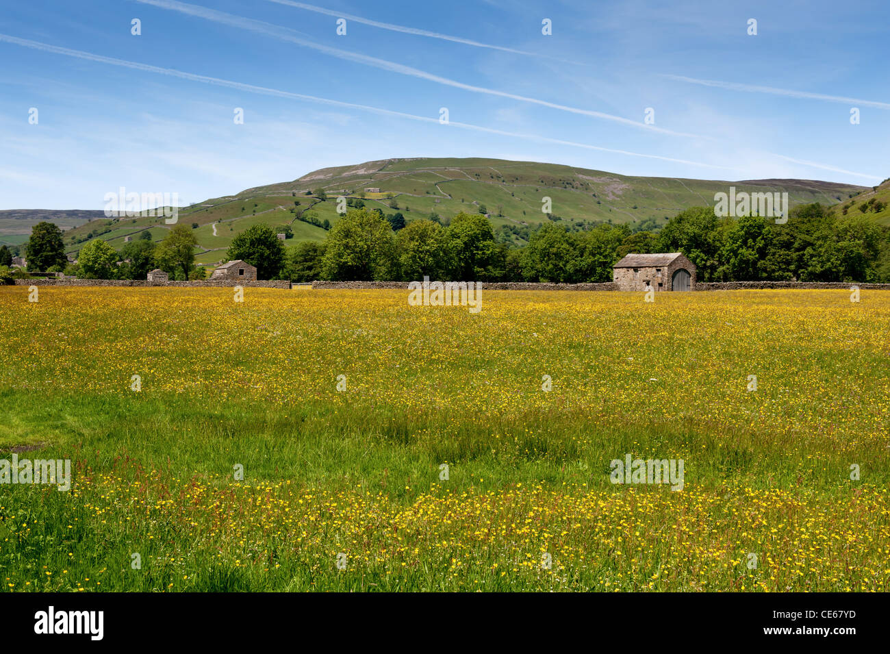Flowering meadows in Swaledale Stock Photo - Alamy