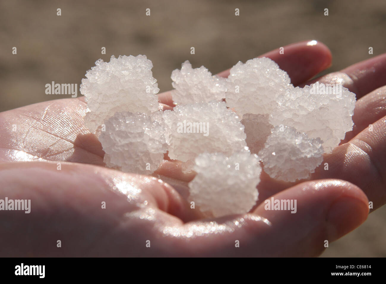 The big crystal of salt of Dead Sea Stock Photo - Alamy