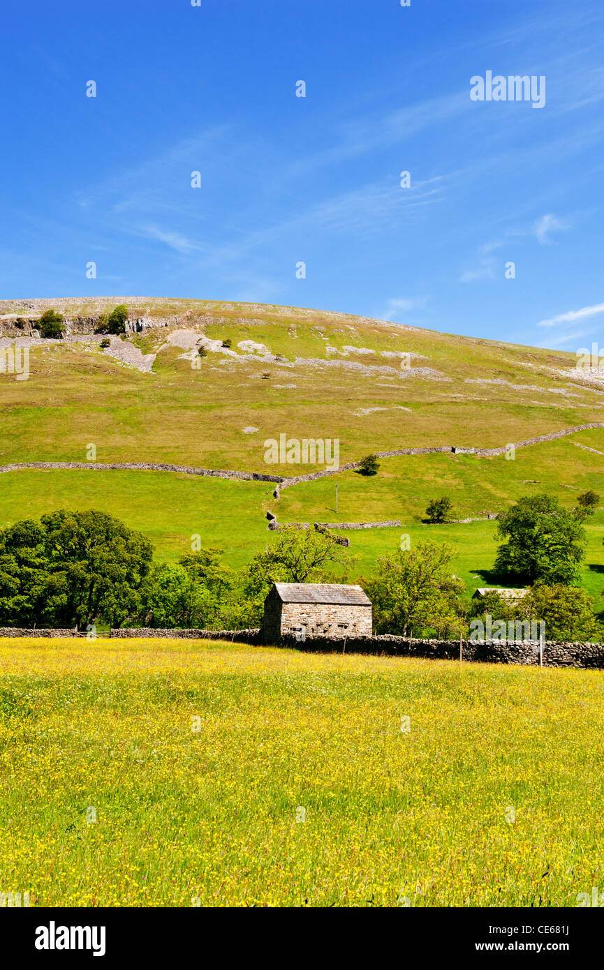 Flowering meadows in Swaledale Stock Photo - Alamy