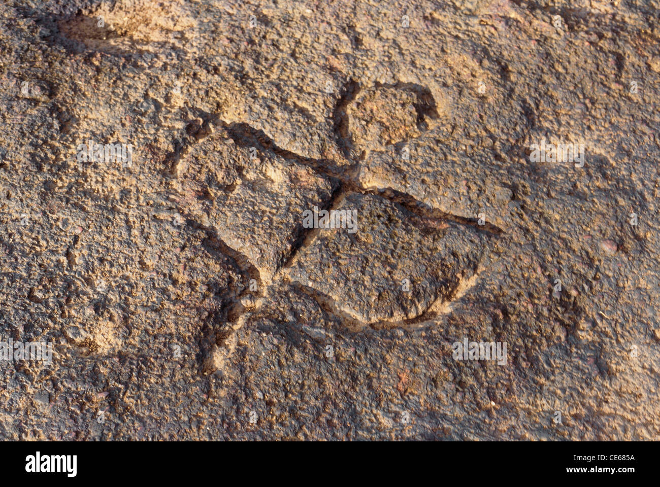 Harvalem caves hi-res stock photography and images - Alamy