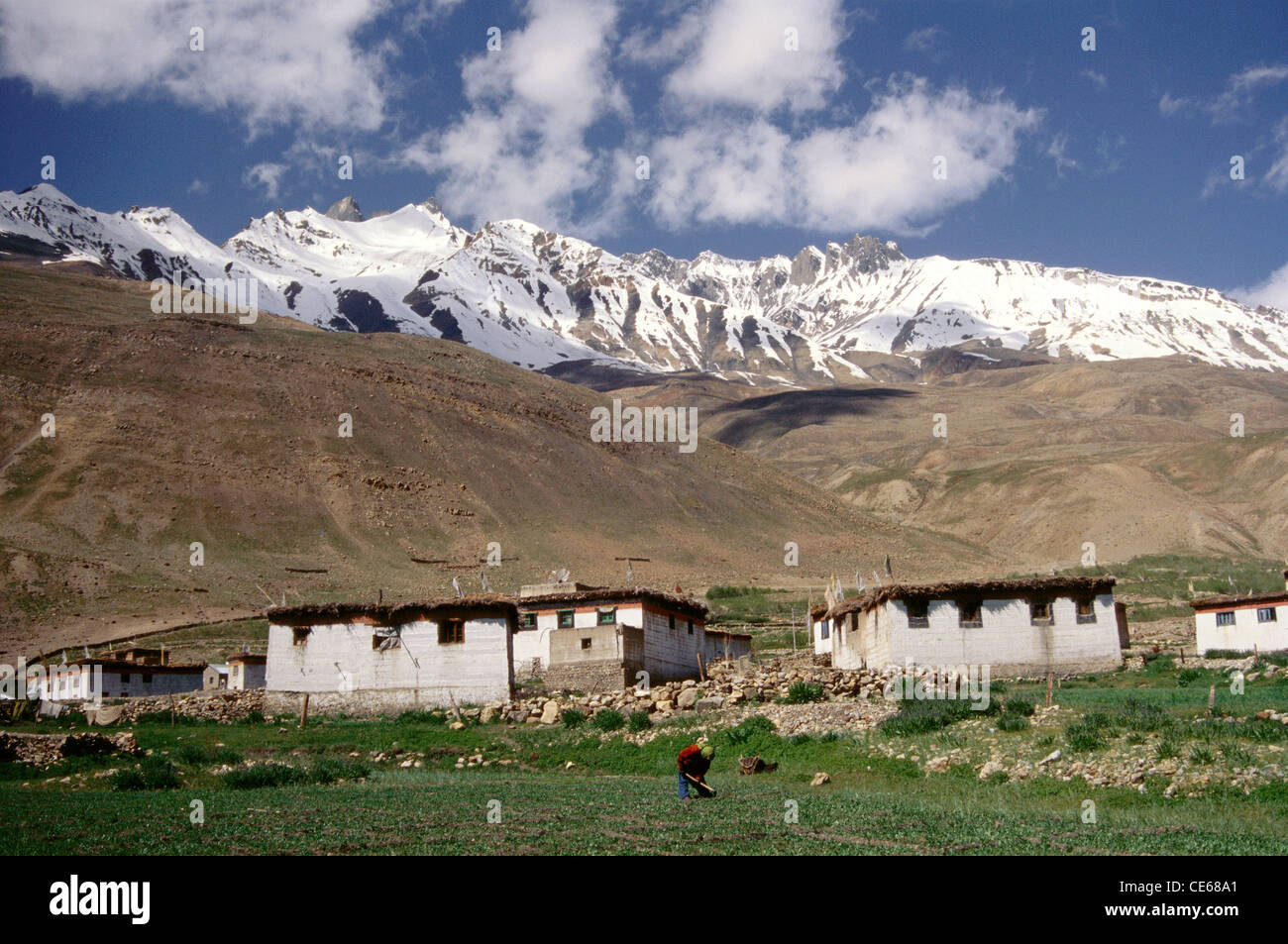 Lossar village ; Losar ; Spiti valley ; Himachal Pradesh ; India ; Asia ...