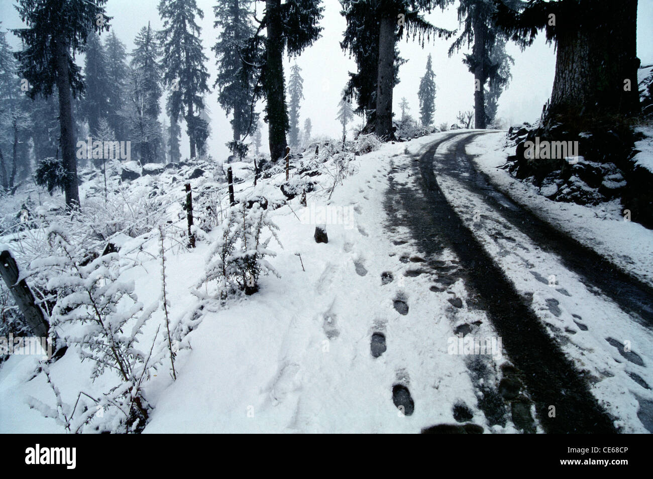 Tyre marks in snow ; Solang Valley ; Solang Nala ; Manali ; Himachal ...