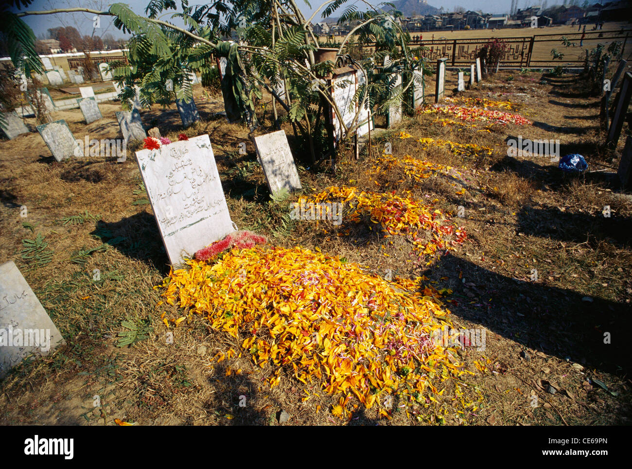 Kabrastan or cemetery or graveyard ; Srinagar ; Jammu and Kashmir ...