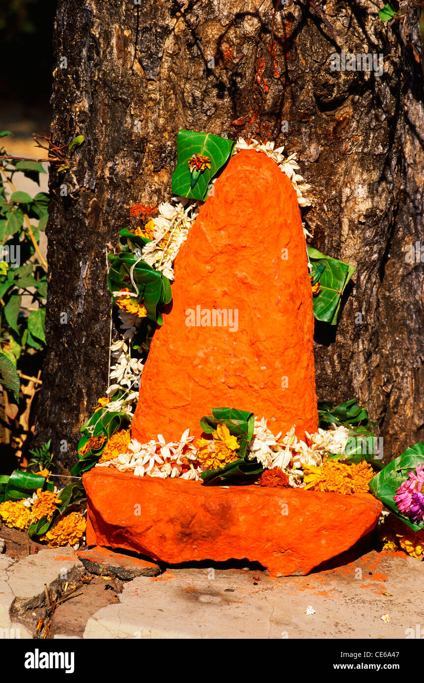 Stone worship as God ; Akloli ; Thane ; Maharashtra ; India Stock Photo ...