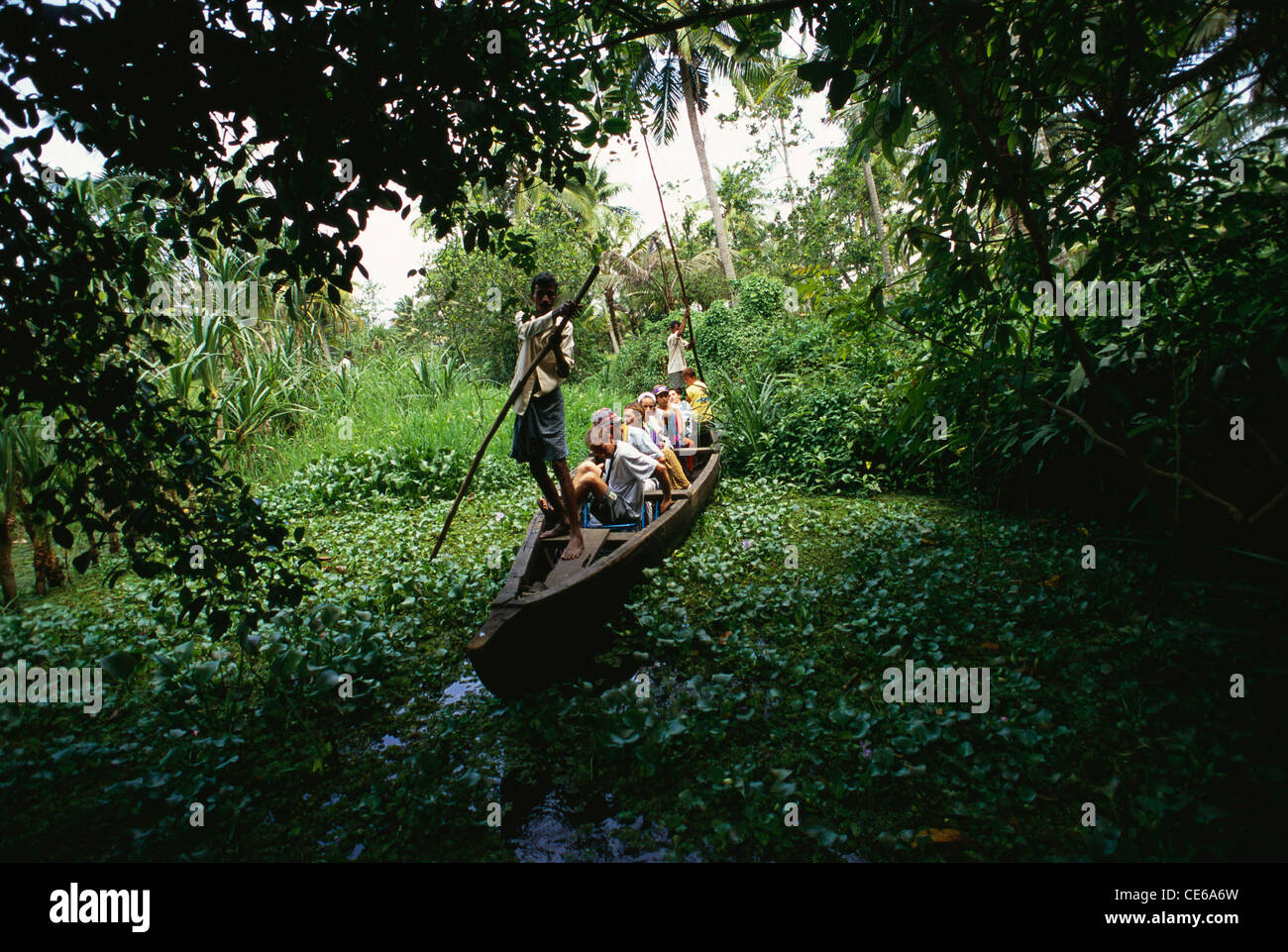 Canoe ride ; tourists boating in backwaters of Kerala ; India ; Asia ...