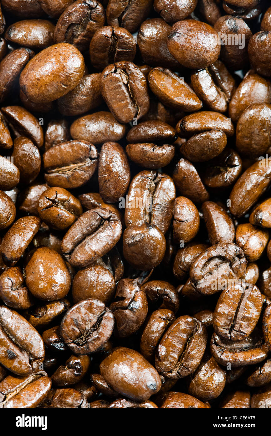 Clear arabica coffee plant hi-res stock photography and images - Alamy