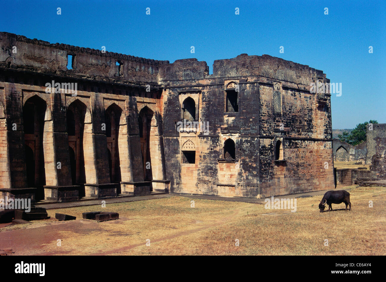 Durbar hall city palace hi-res stock photography and images - Alamy