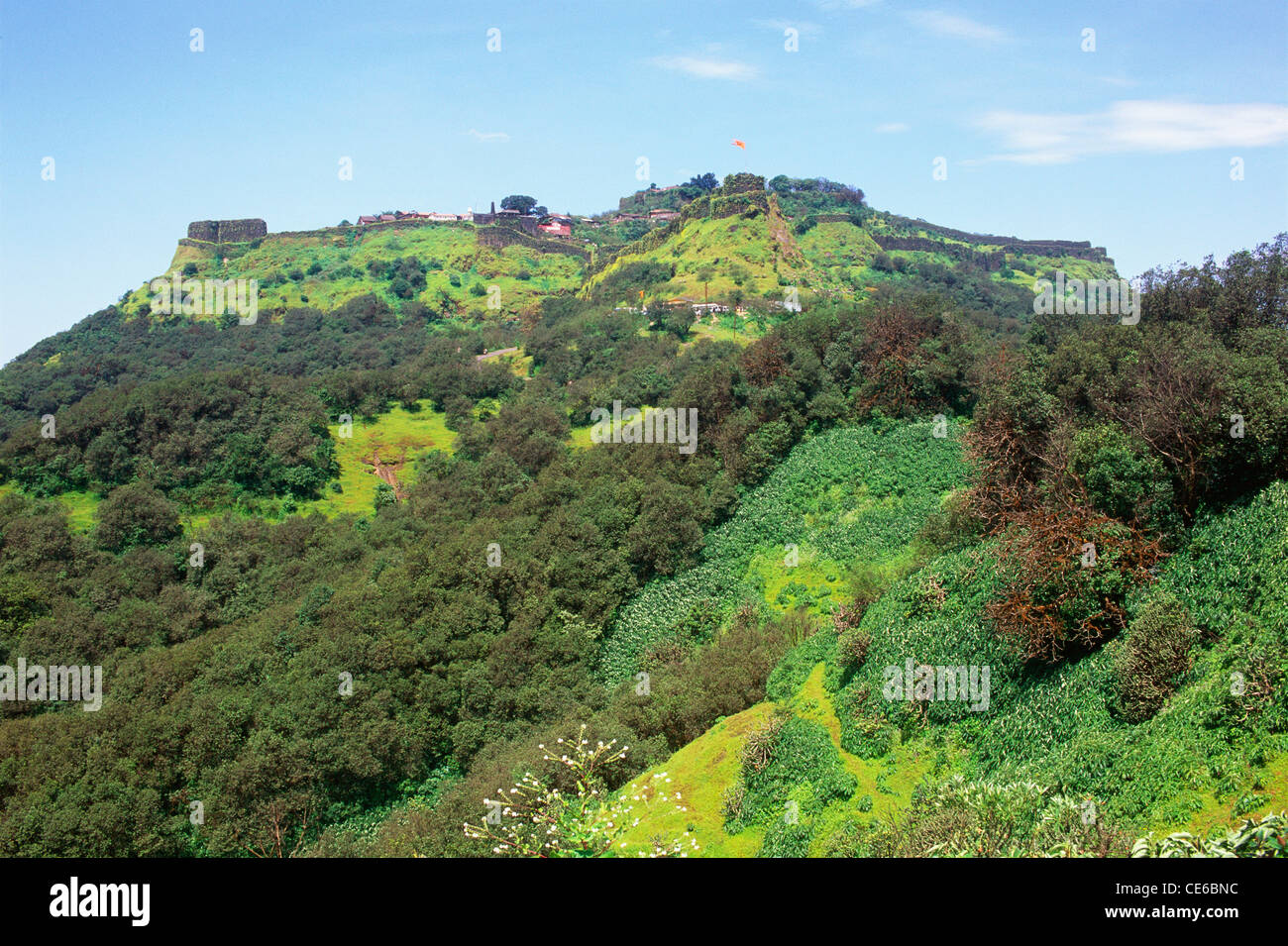 Pratapgad Fort and forest near Mahableshwar ; Mahabaleshwar ; Satara ...