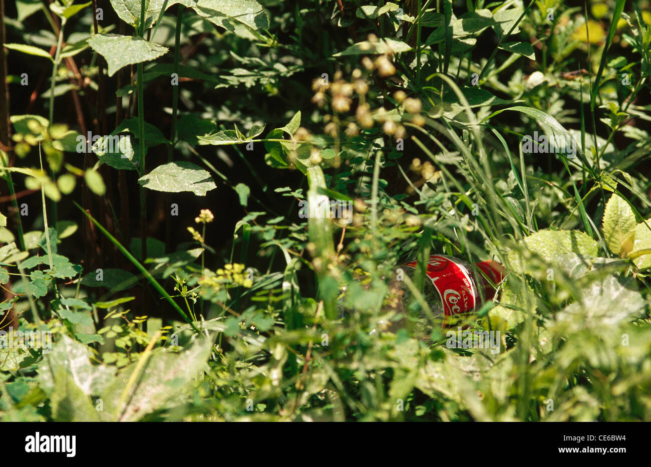Trash garbage pollution coca cola hi-res stock photography and images ...