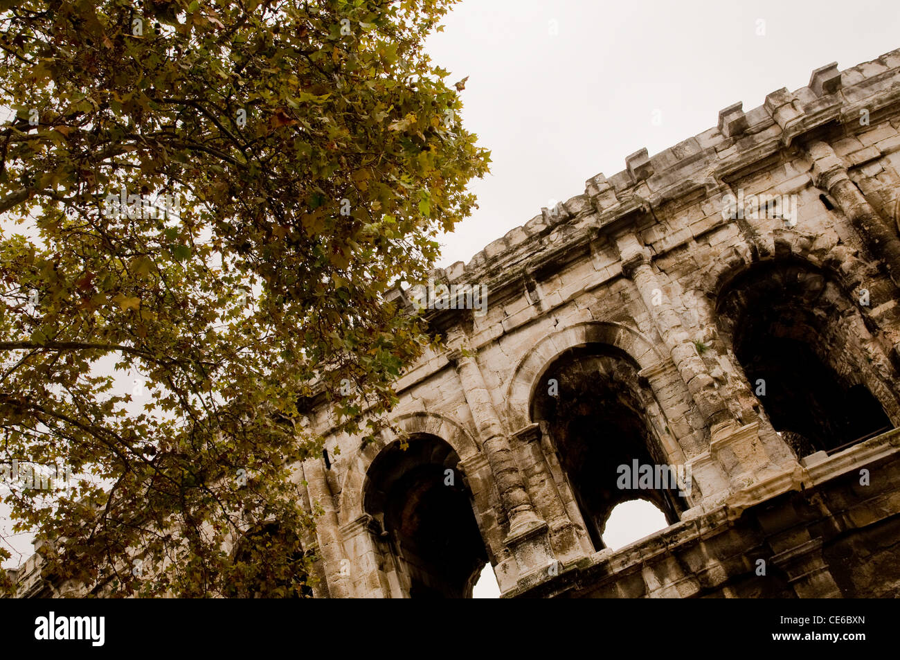Detail of the Arena in Nimes France, framed by Autumn leaves Stock ...