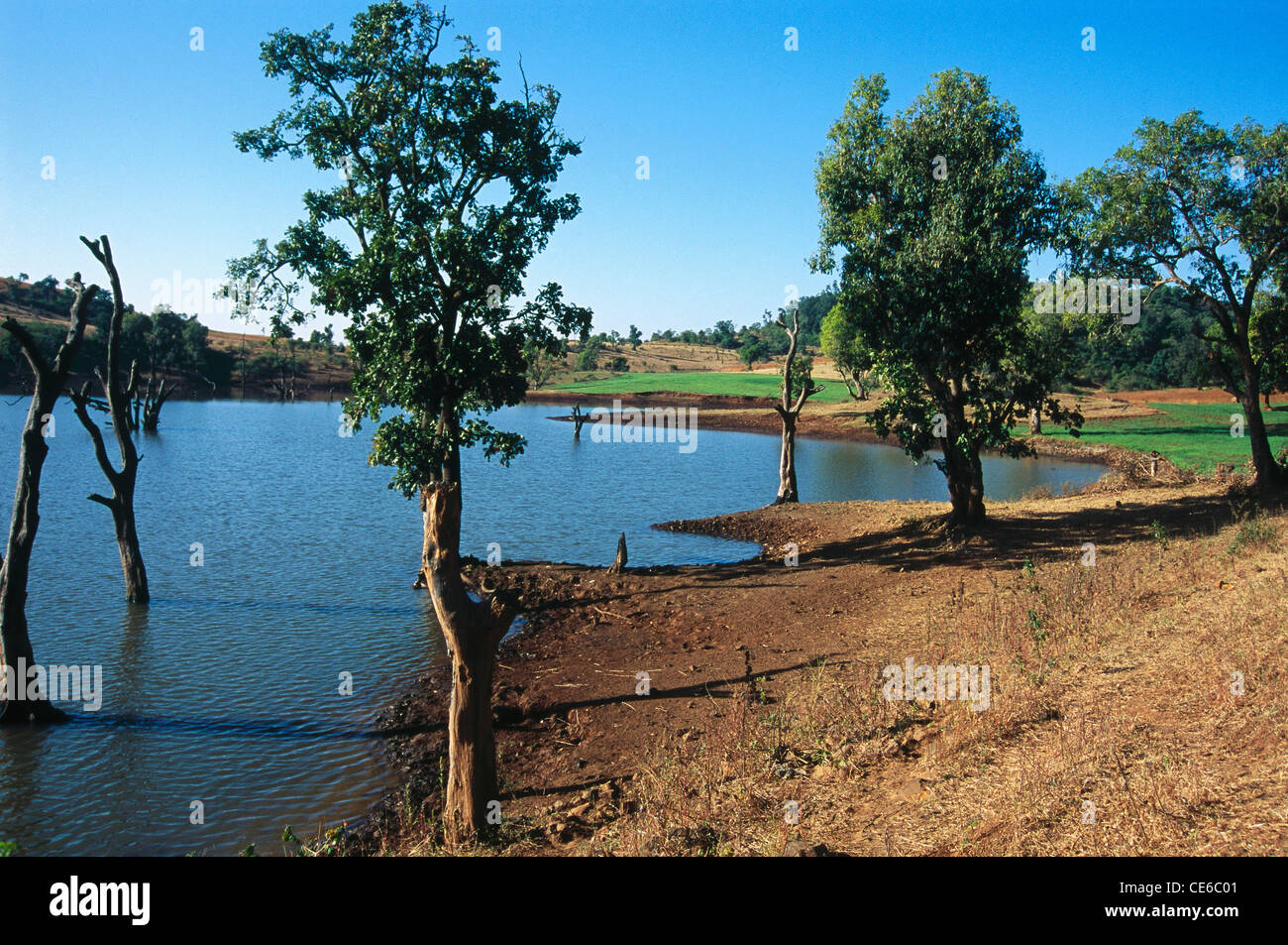 Lake ; Salona village ; Melghat ; Chikhaldara Taluka ; Amravati ...