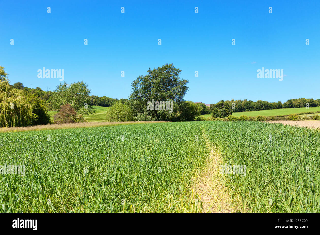 English rural landscape farmland trees hi-res stock photography and ...