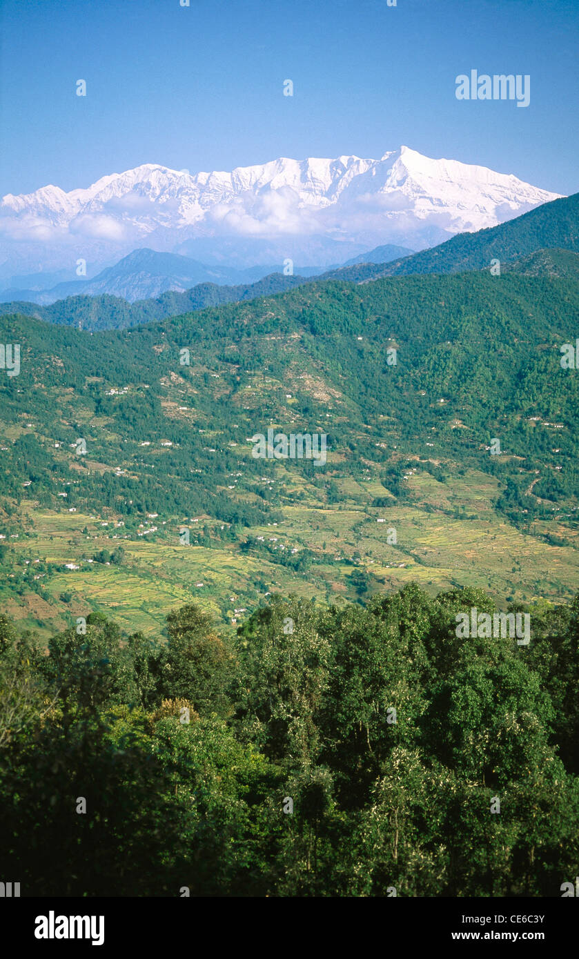himalayan landscape trees fields valley snow mountains from chakori ...
