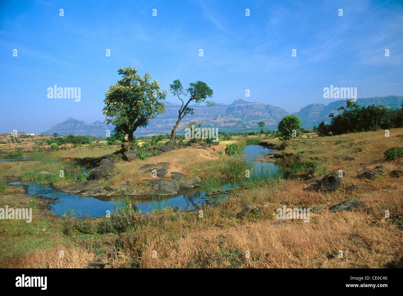 Landscape river tree fields western ghats ; malshej ghat ; maharashtra ...