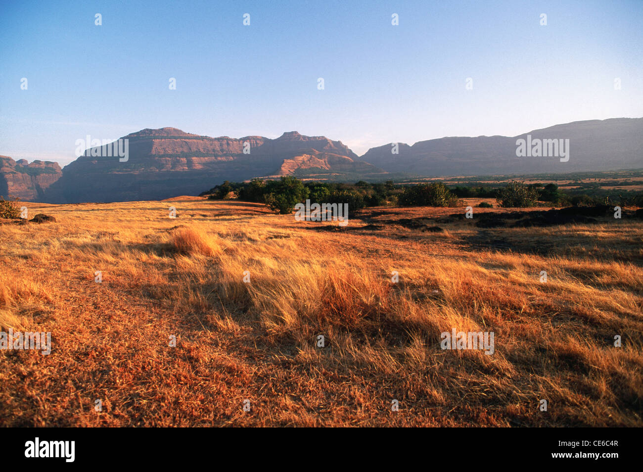 Western ghats deccan plateau hi-res stock photography and images - Alamy