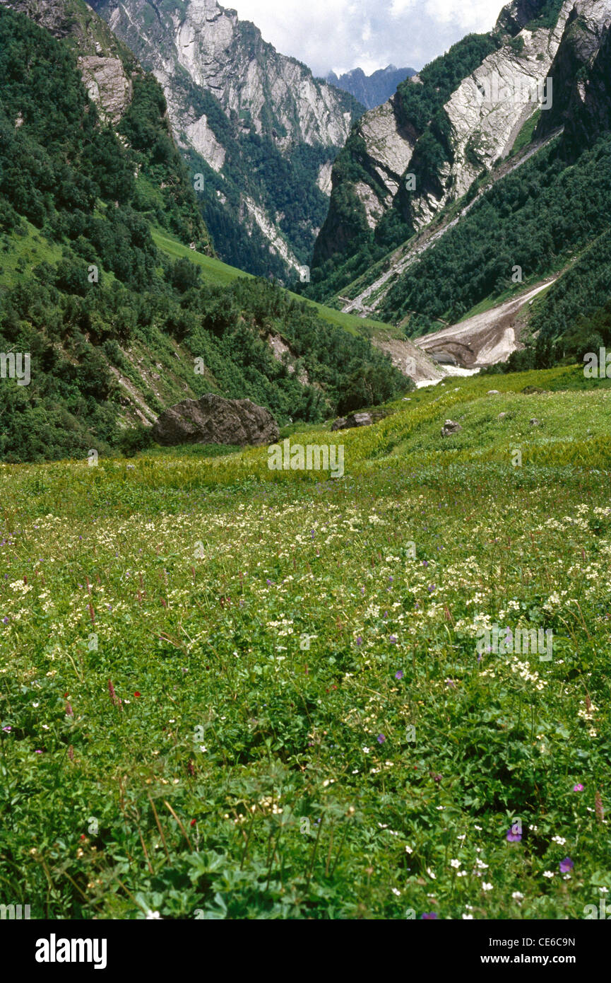 Valley of flowers uttarakhand hi-res stock photography and images - Alamy