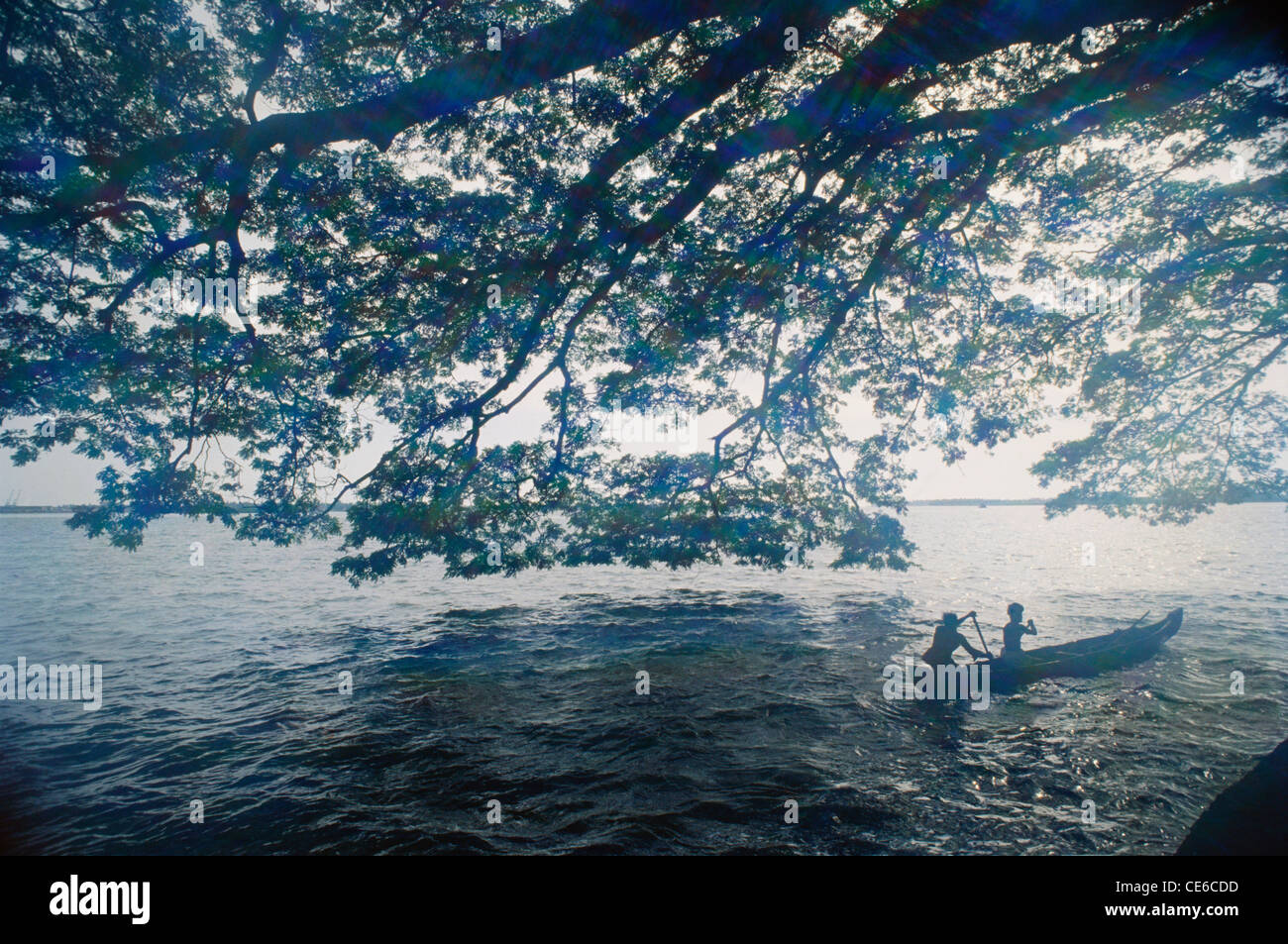 Two men in rowing boat hi-res stock photography and images - Alamy
