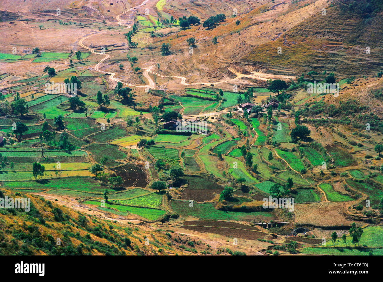 Terraced landscape hi-res stock photography and images - Alamy