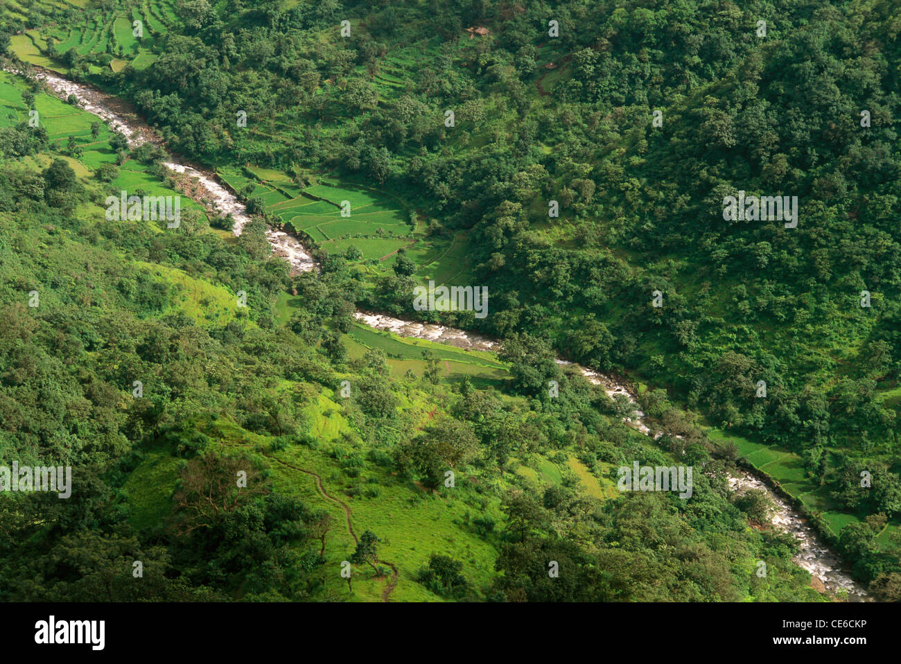 River Kaveri flowing through green fields in valley ; coorg ; kodagu ...