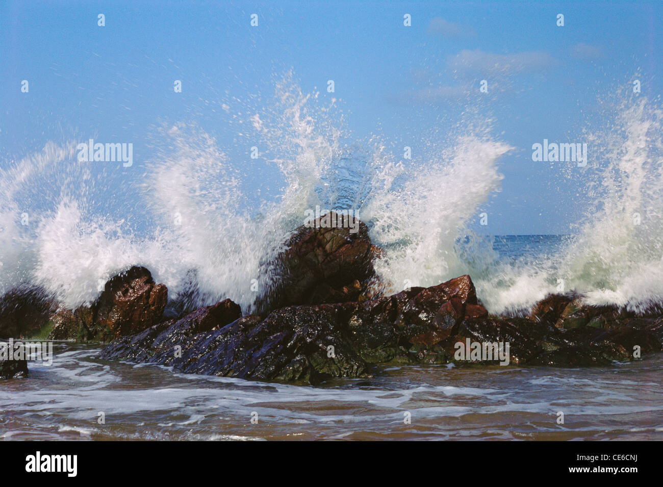 sea waves splashing on rock ; kudal beach ; konkan ; maharashtra ...