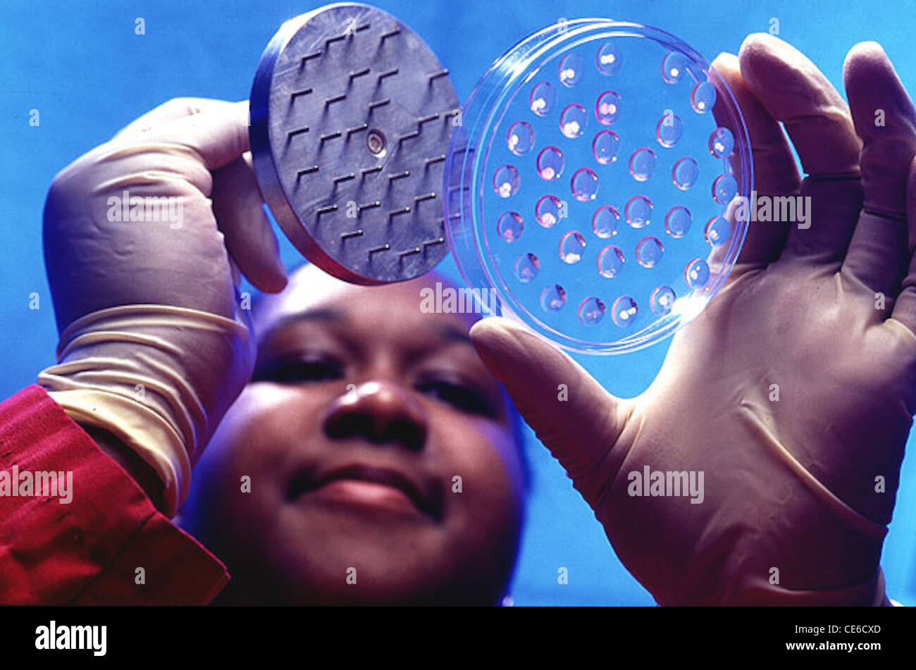 Using a pin inoculator, technician Ashaki Shropshire can simultaneously ...