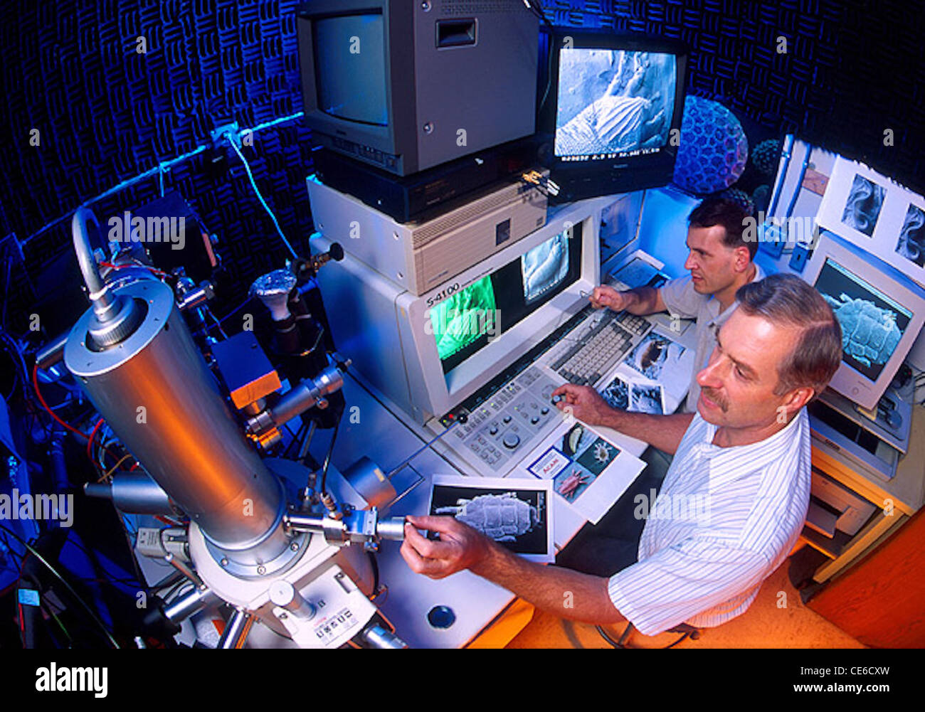 Low temperature scanning electron microscope hi-res stock photography ...