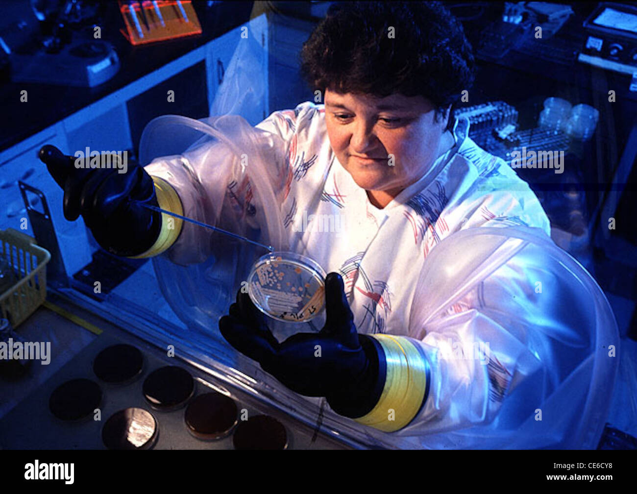 Cattle stomach contents hi-res stock photography and images - Alamy