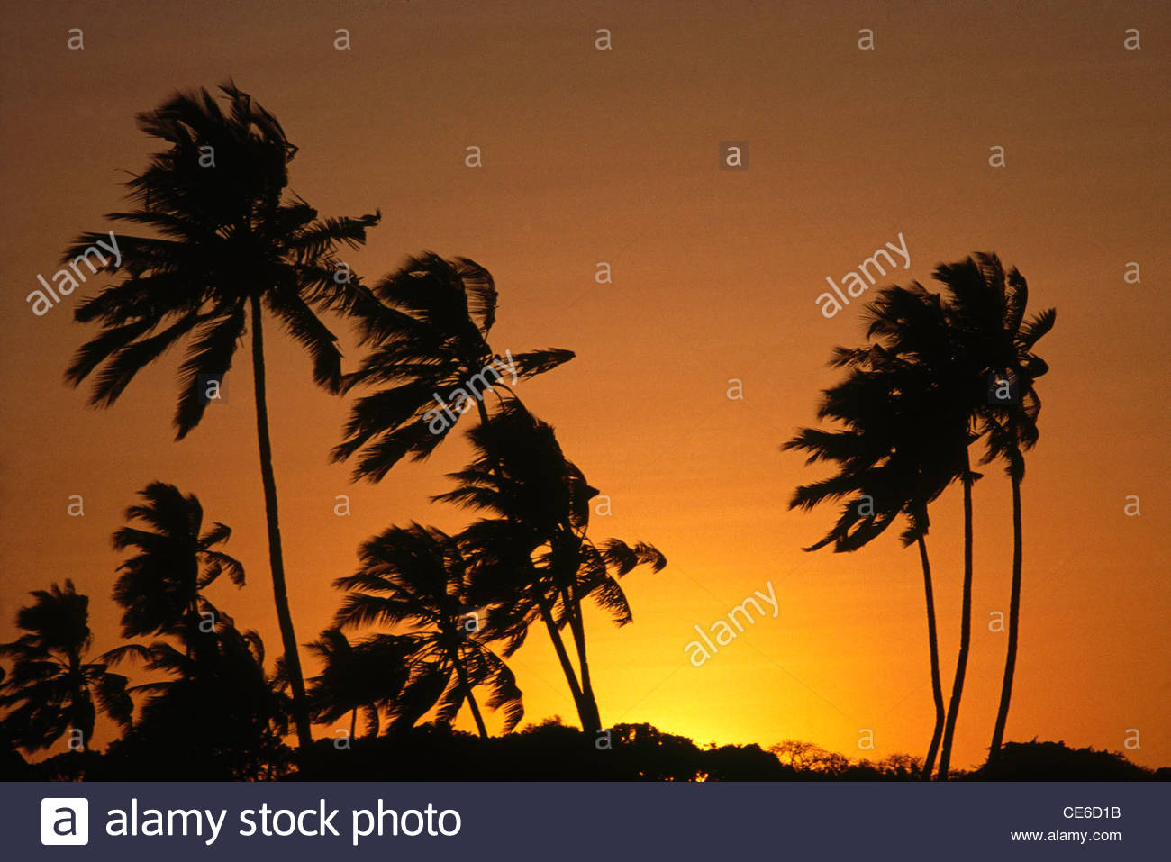 Breezy High Resolution Stock Photography and Images - Alamy