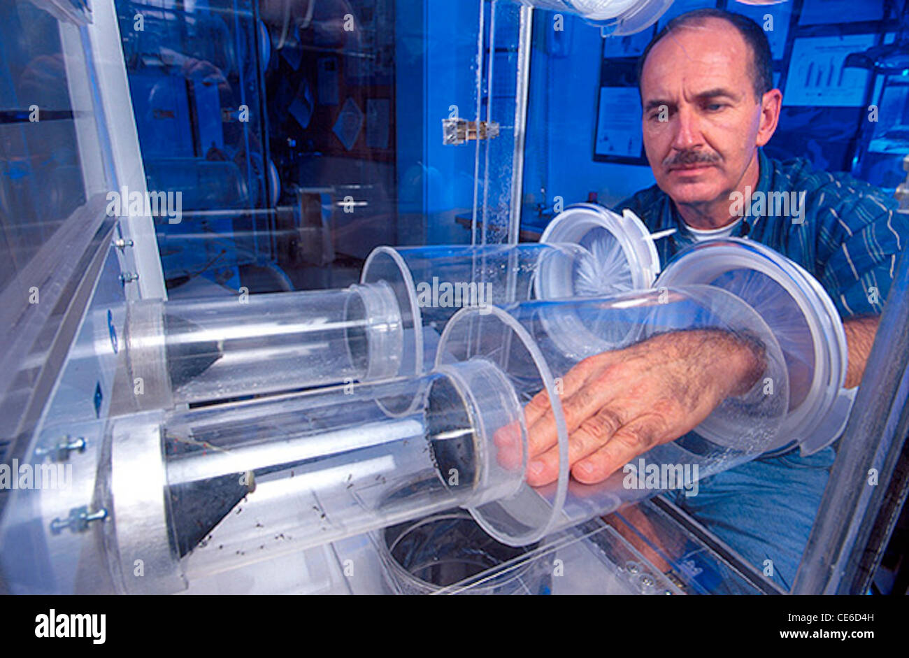 Olfactometer hi-res stock photography and images - Alamy