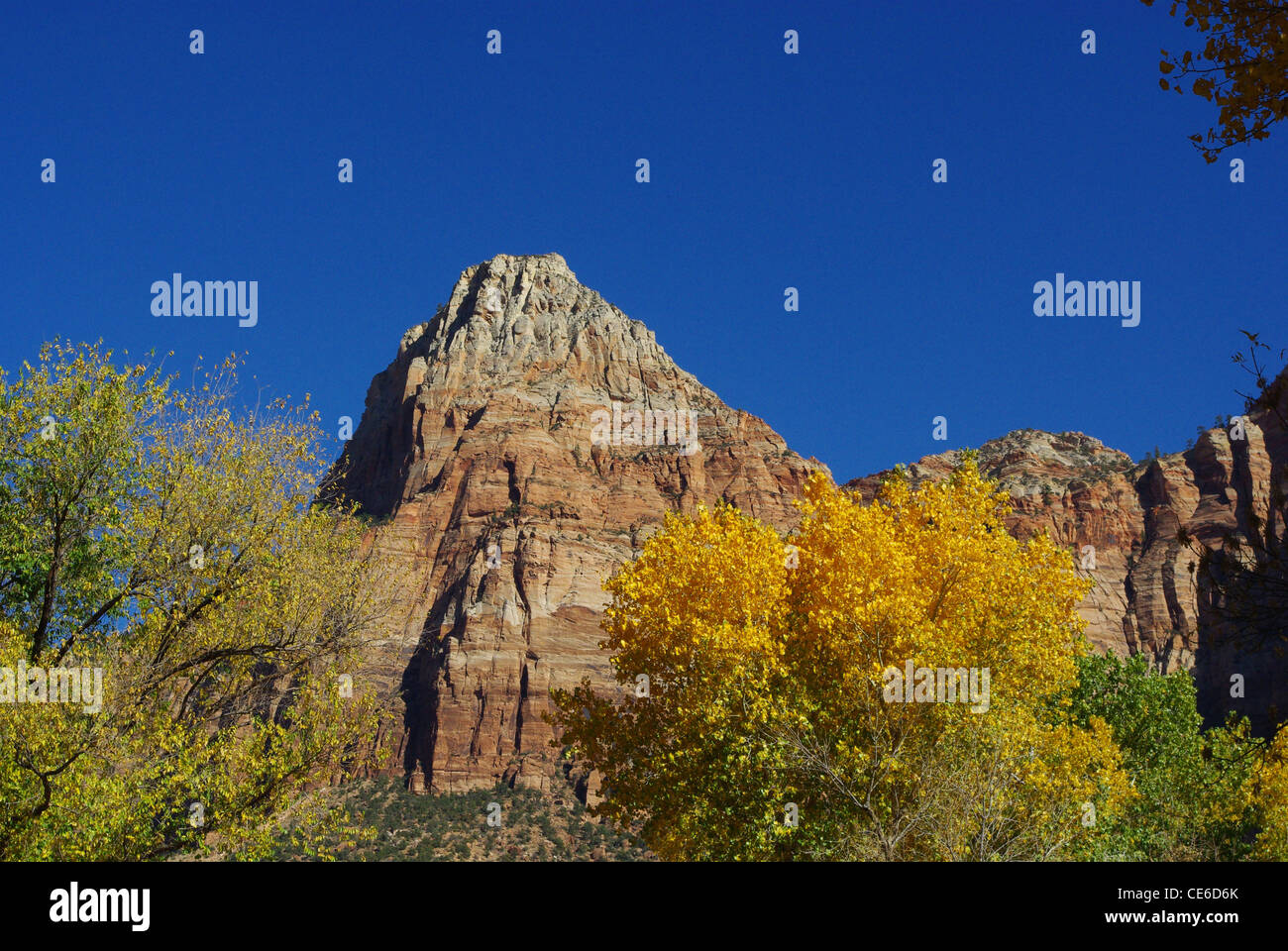 Autumn colors in zion hi-res stock photography and images - Alamy