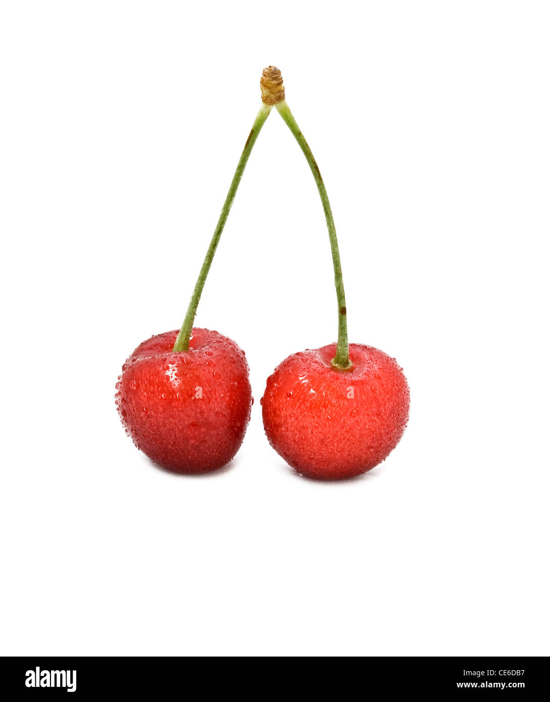 cherry isolated on a white background Stock Photo - Alamy