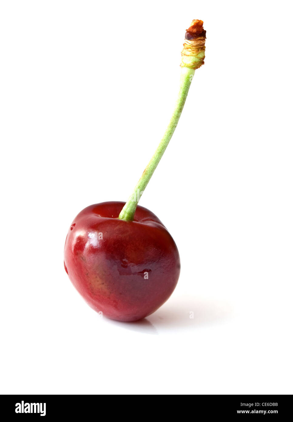 cherry isolated on a white background Stock Photo - Alamy