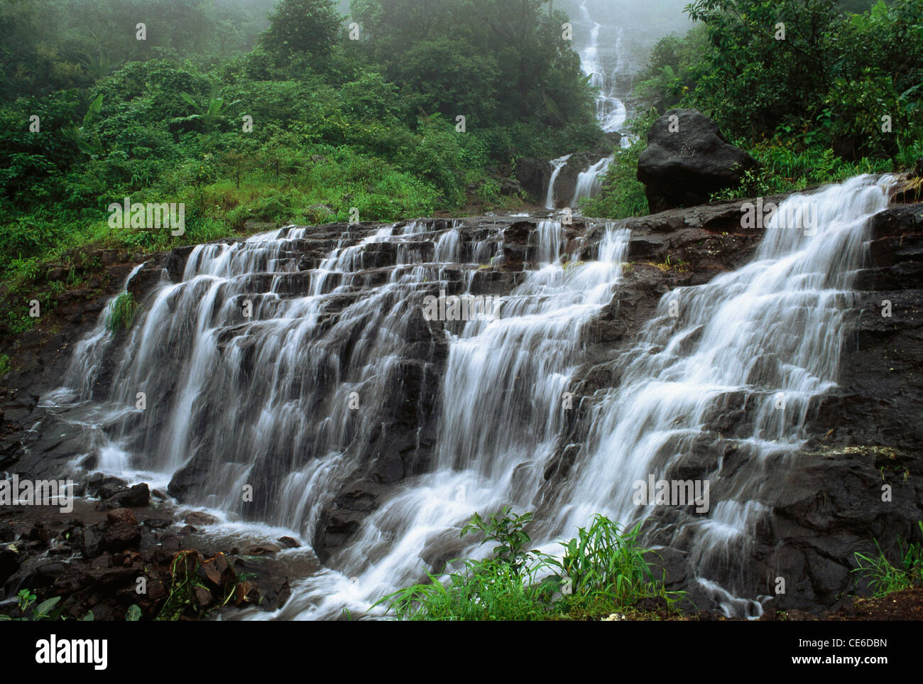 Row of waterfall ; malshej ghat ; maharashtra ; india Stock Photo - Alamy
