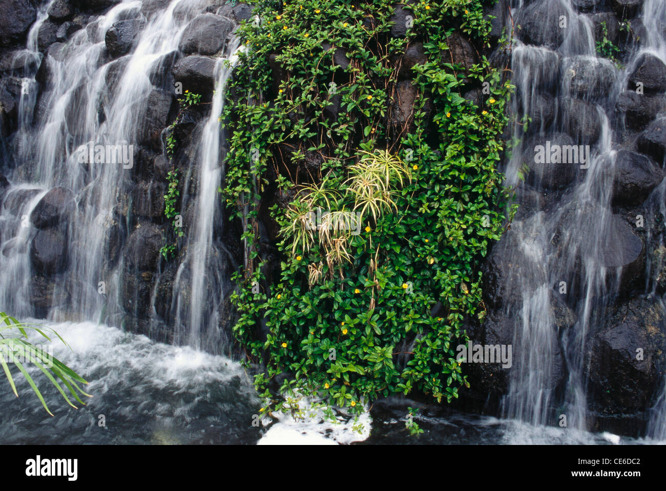 Artificial waterfall and greenery Shirdi Maharashtra India Stock Photo ...