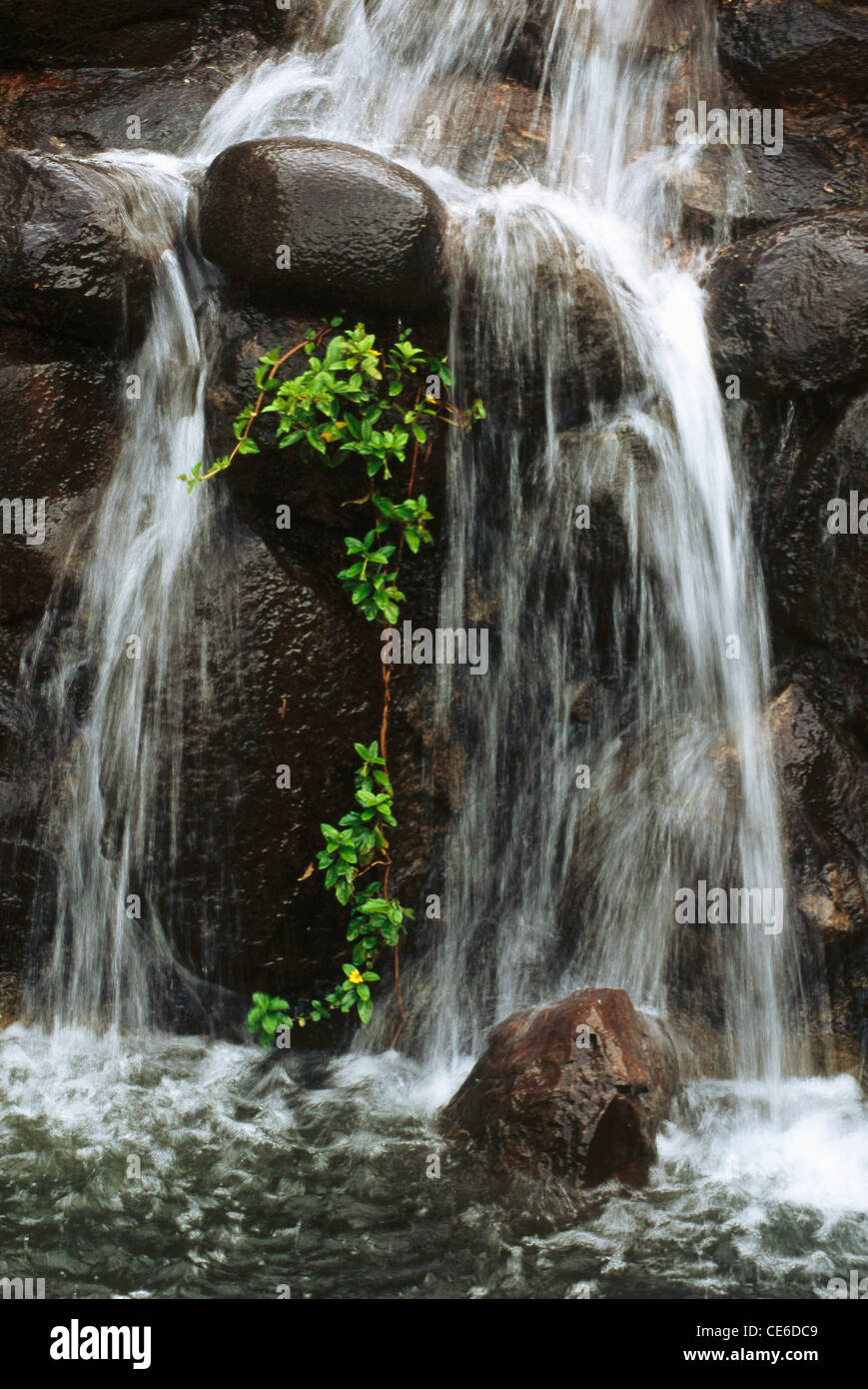 Artificial waterfall and green plant ; shirdi ; maharashtra ; india ...