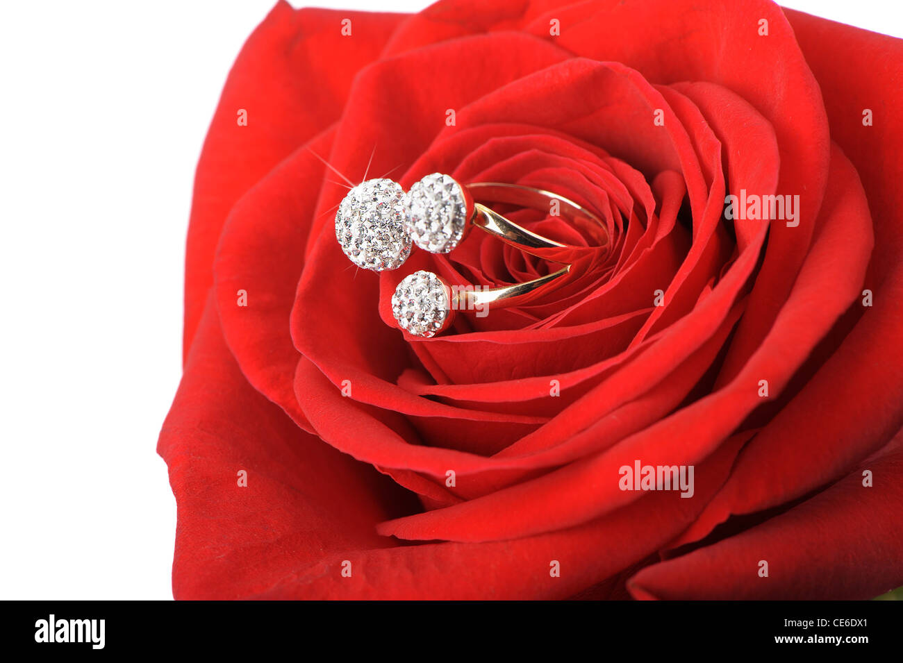 Red rose ring hi-res stock photography and images - Alamy