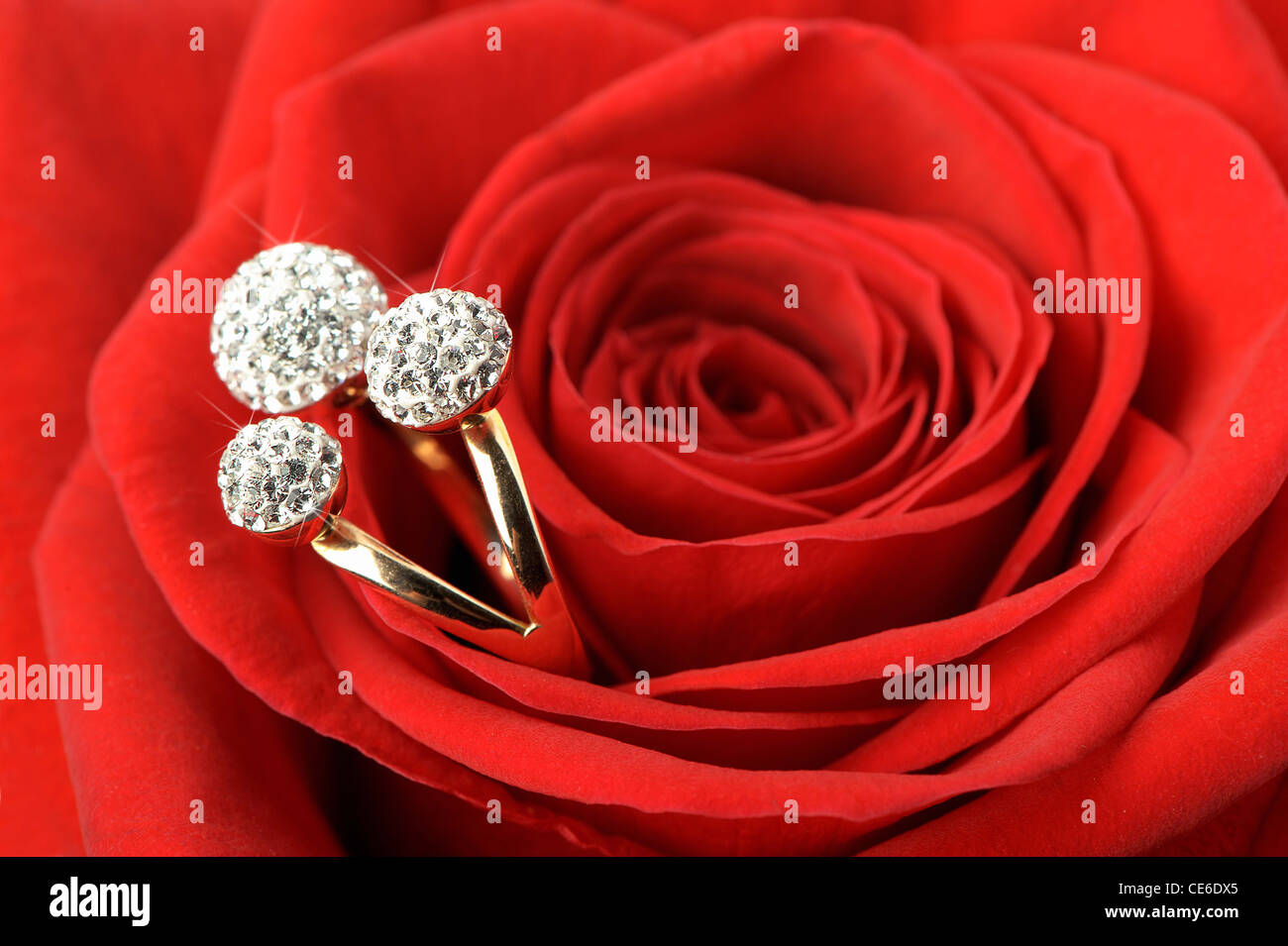 Red rose with a ring with jewels. A photo closeup Stock Photo - Alamy