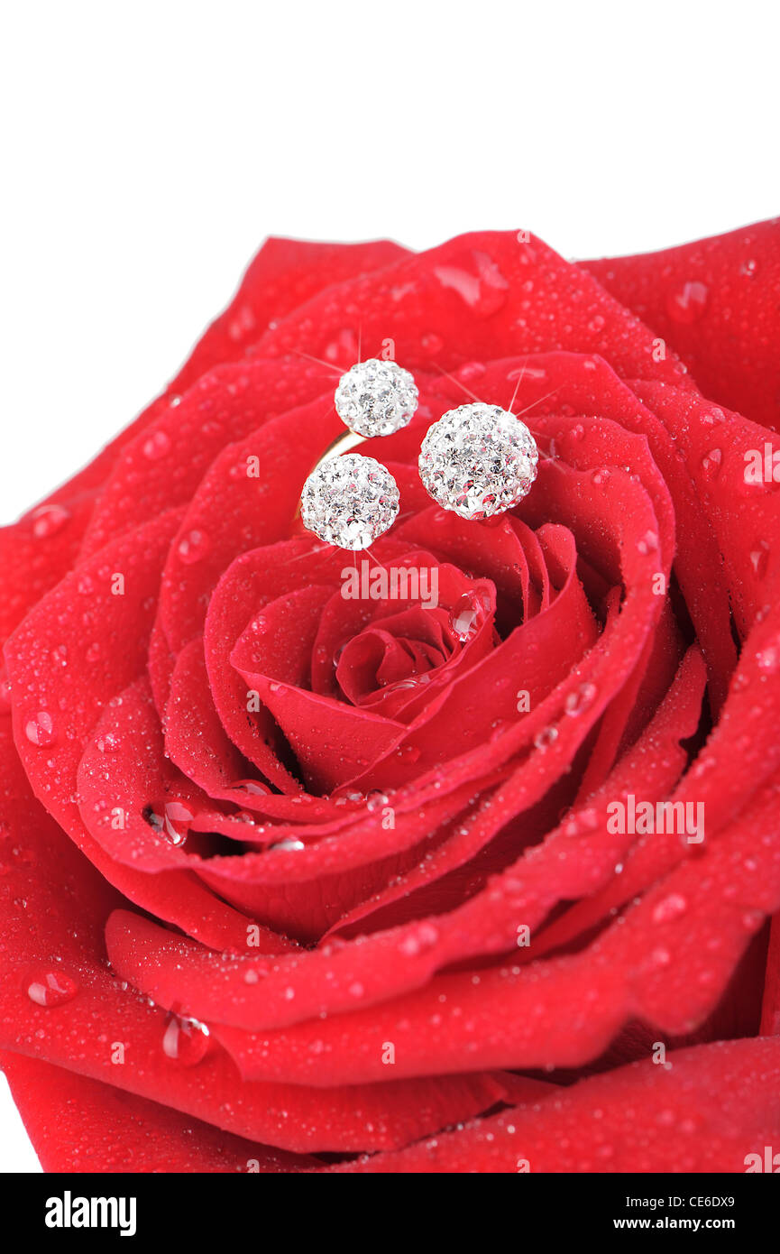 Red rose with a ring with jewels and water drops. A photo closeup ...