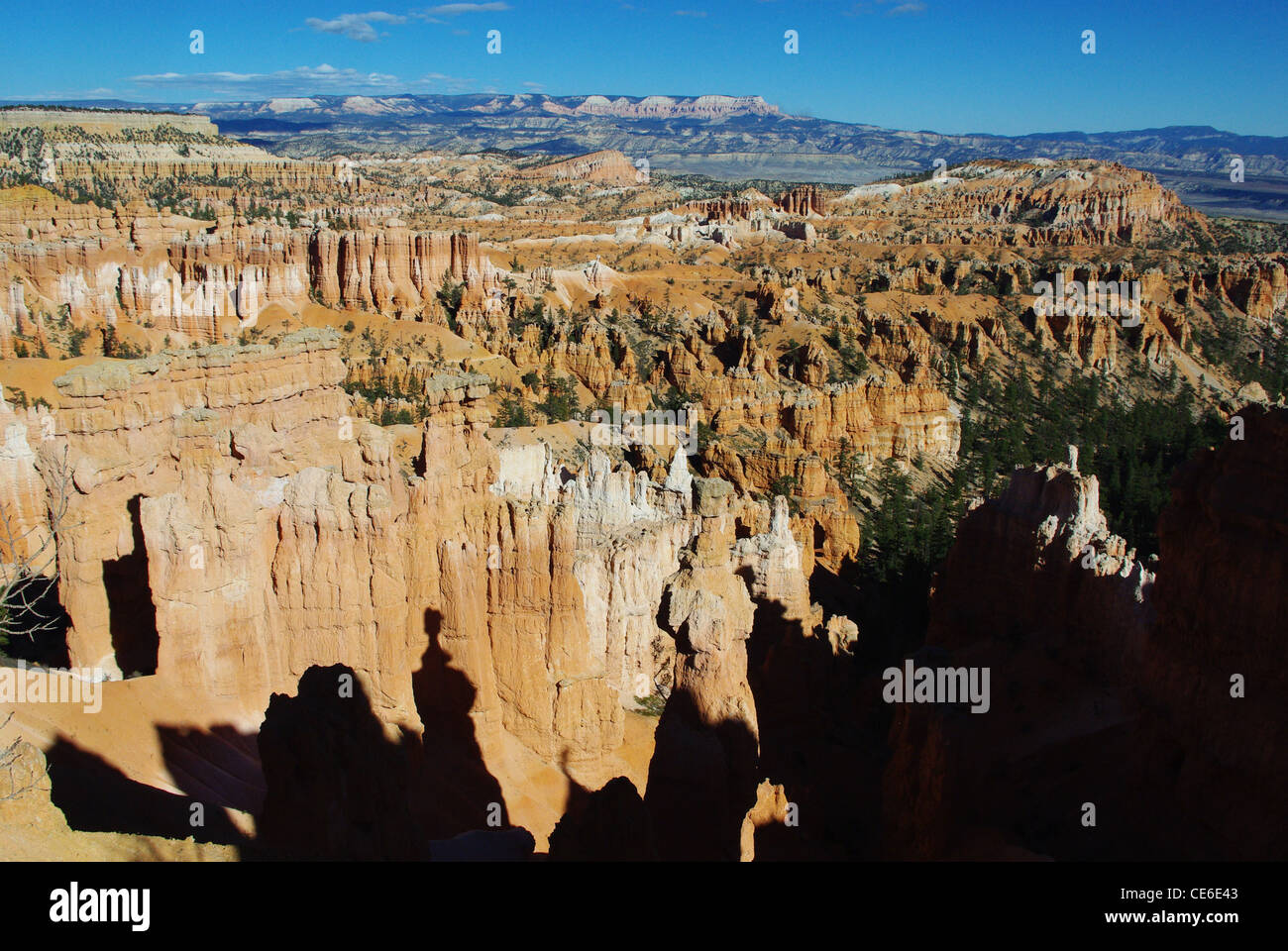 Tree shadow on rock hi-res stock photography and images - Alamy