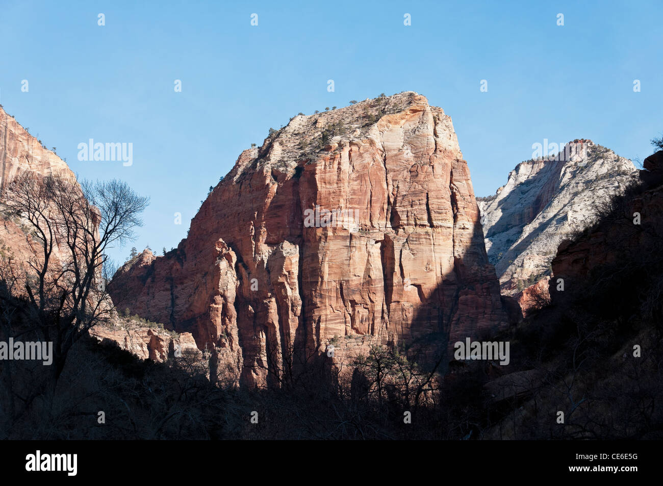 Angels landing zion hi-res stock photography and images - Alamy