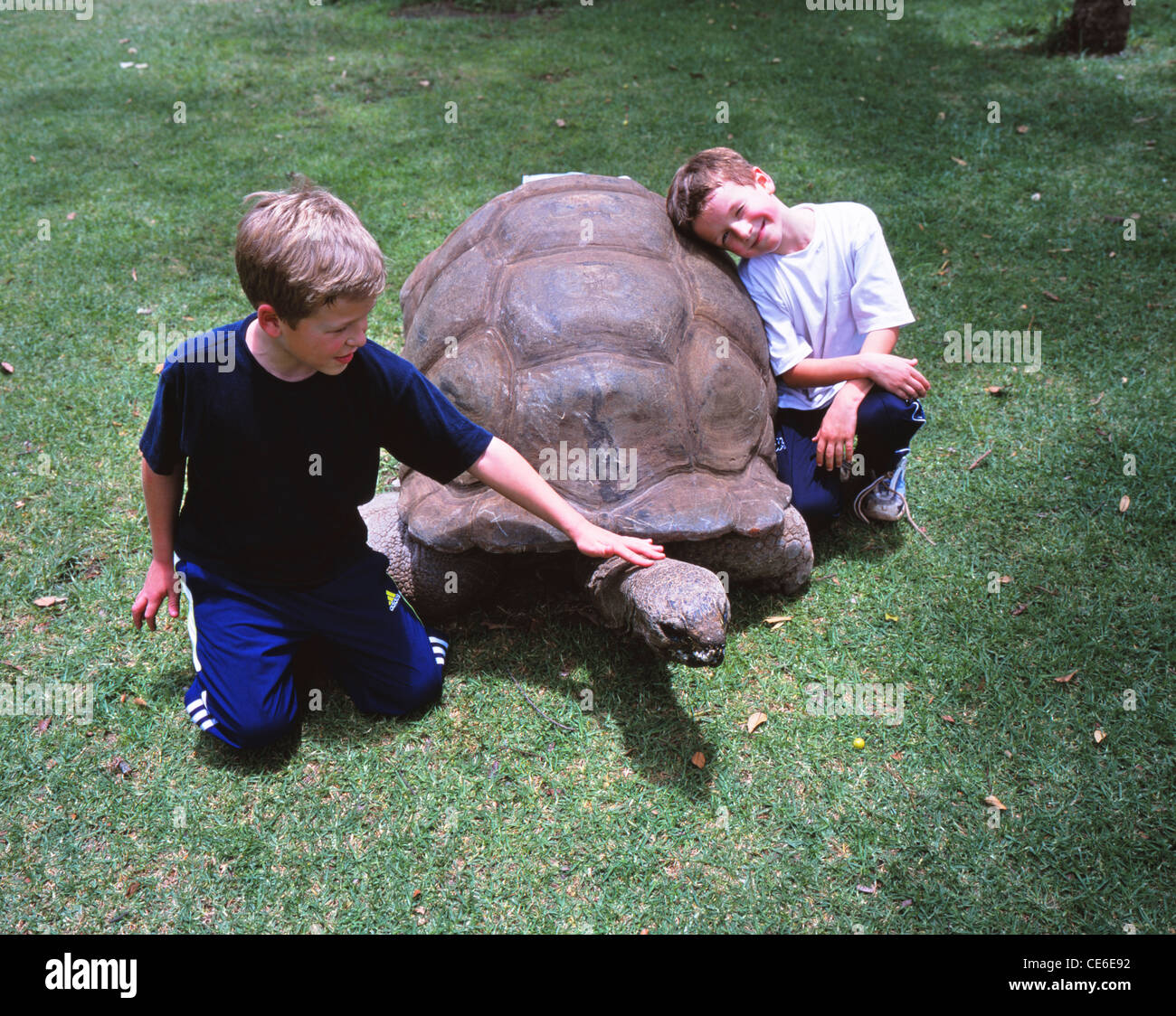 Two Boys with a giant Tortoise, Harare, Zimbabwe Stock Photo - Alamy