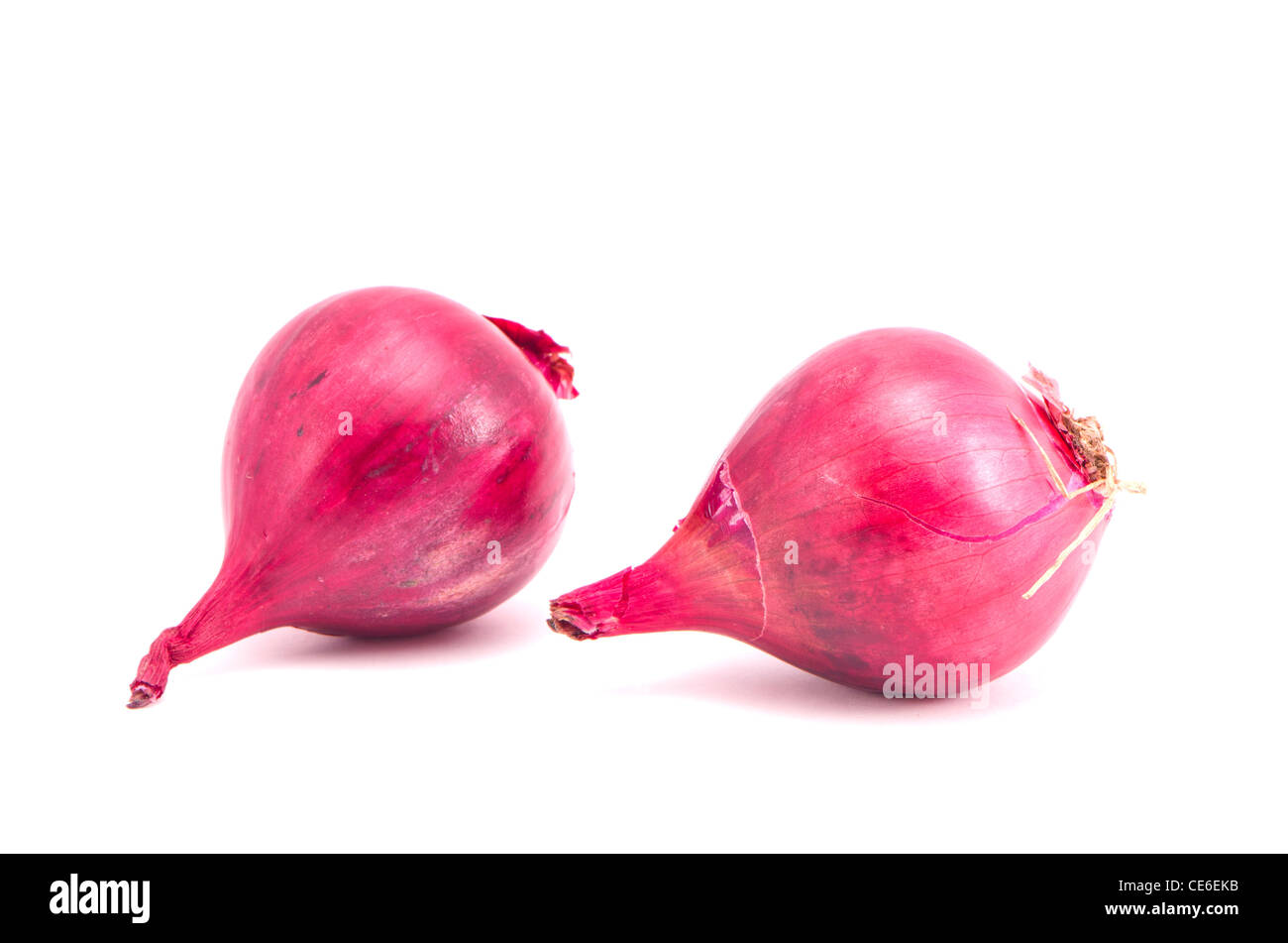 Red onion isolated on hi-res stock photography and images - Alamy
