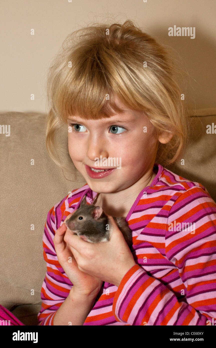 child playing with hamster, england,uk,europe Stock Photo - Alamy